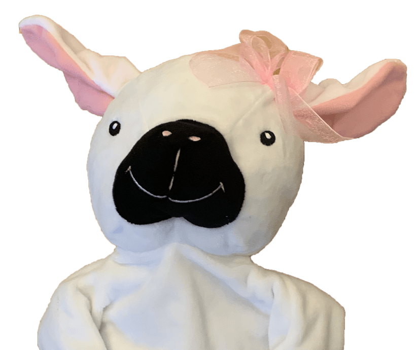 Education Videos Starring the Primrose Friends