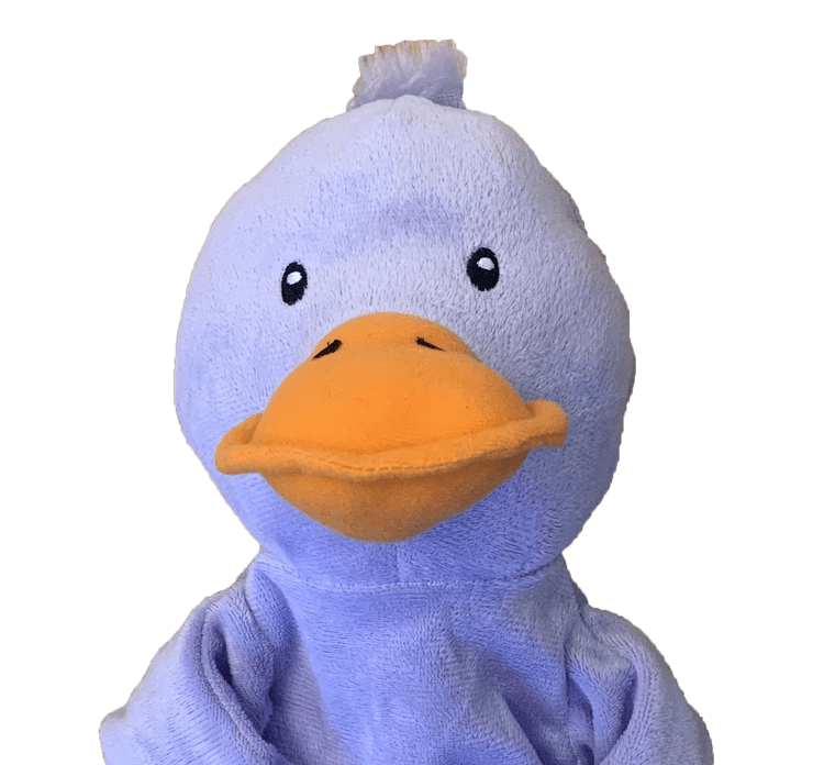 Education Videos Starring the Primrose Friends