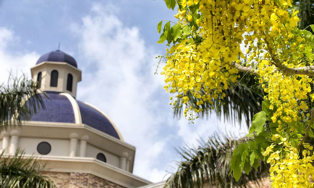 UTRGV Graduate Programs | Top-Ranked, Affordable Master's Degrees