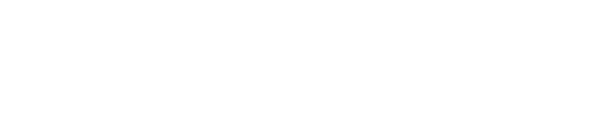 UTRGV Ring Information