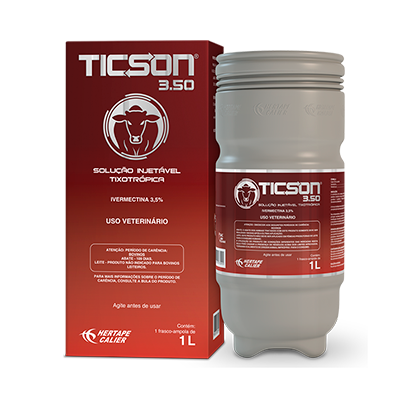 Fale com um especialista