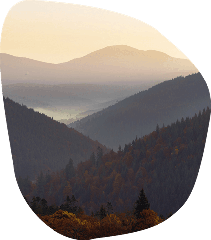 Hotel Door Locks – DUSAW