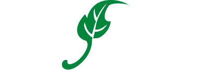 Top-Rated Gutter Guards