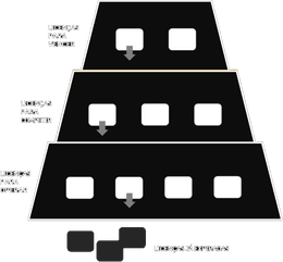 Executive Program | StartSe University
