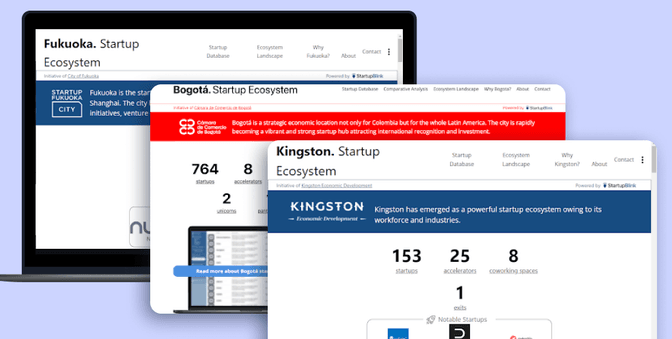 Startup Ecosystem Development