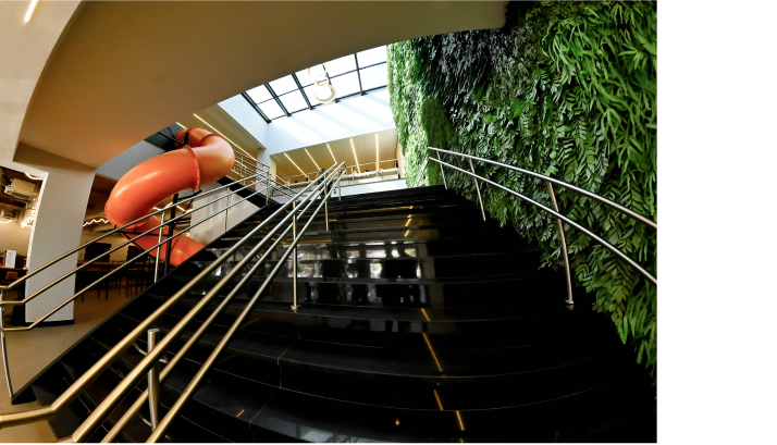 Marcus Marques - Acelerador Empresarial