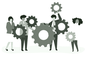 Asis - Software Completo