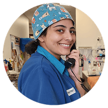 Desexing Cost for Dogs & Cats | Lynbrook Vet