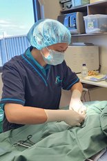 Desexing Cost for Dogs & Cats | Lynbrook Vet