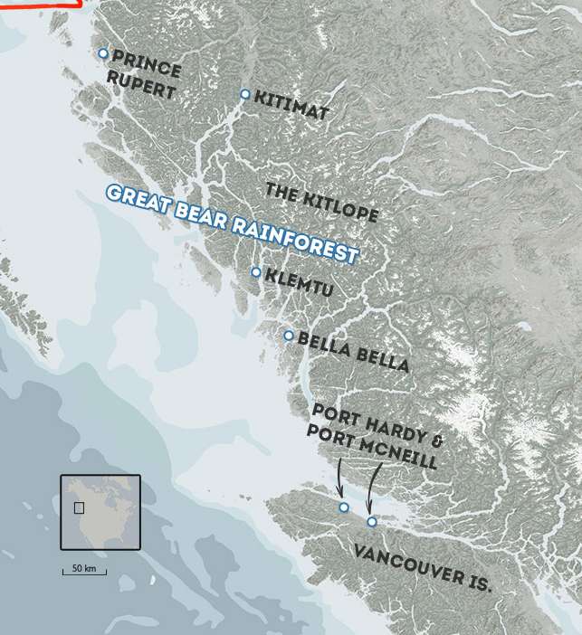 Great Bear Rainforest by Small Ship | Maple Leaf Adventures