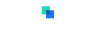 BIU University & Docsity