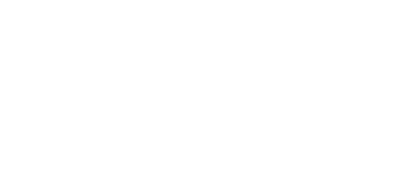 POLITO - Politecnico di Torino
