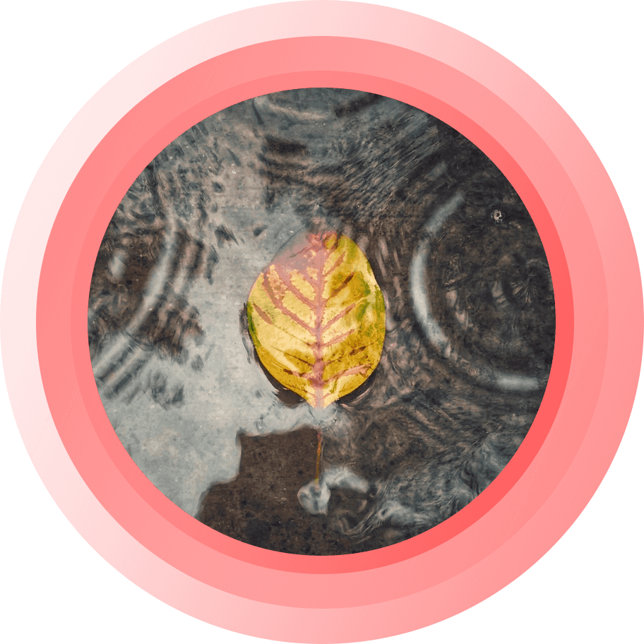 Namu | Curso - Marmitas Saudáveis