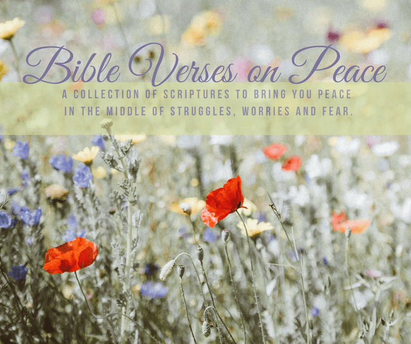 "Thank you for these beautiful verses that I am able to turn to when I ...