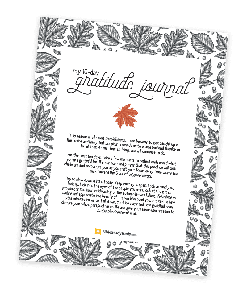 Enter your email to download the FREE Gratitude Journal and get ...