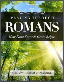 Privacy Policy / Terms of Use