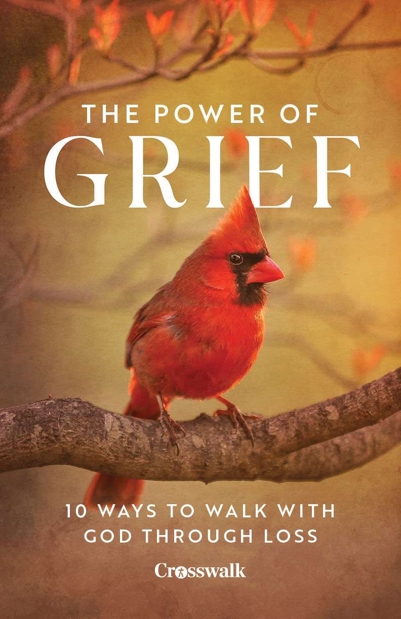 T he Power of Grief