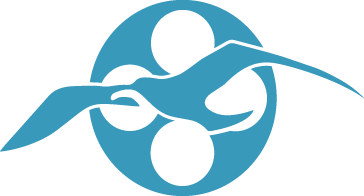 New Hampshire Film Festival