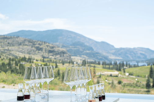 Discover Liquidity Wines