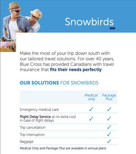BLUE CROSS TRAVEL