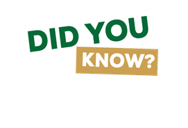 Wright State University Online Bookstore - Books by eCampus