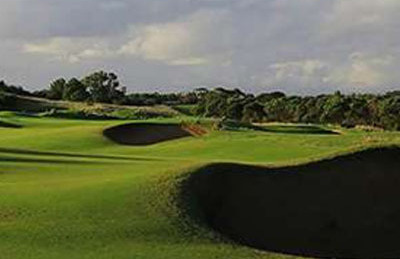 Premier Suites Footy Experience. Corporate Box AFL