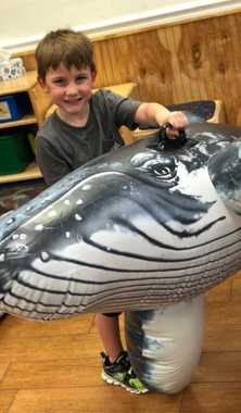 💲Get a Price Quote