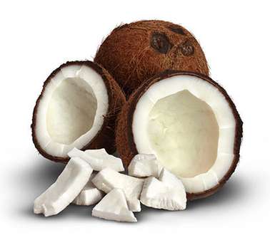 Before World War II, the miracle-healing coconut had been used to help ...