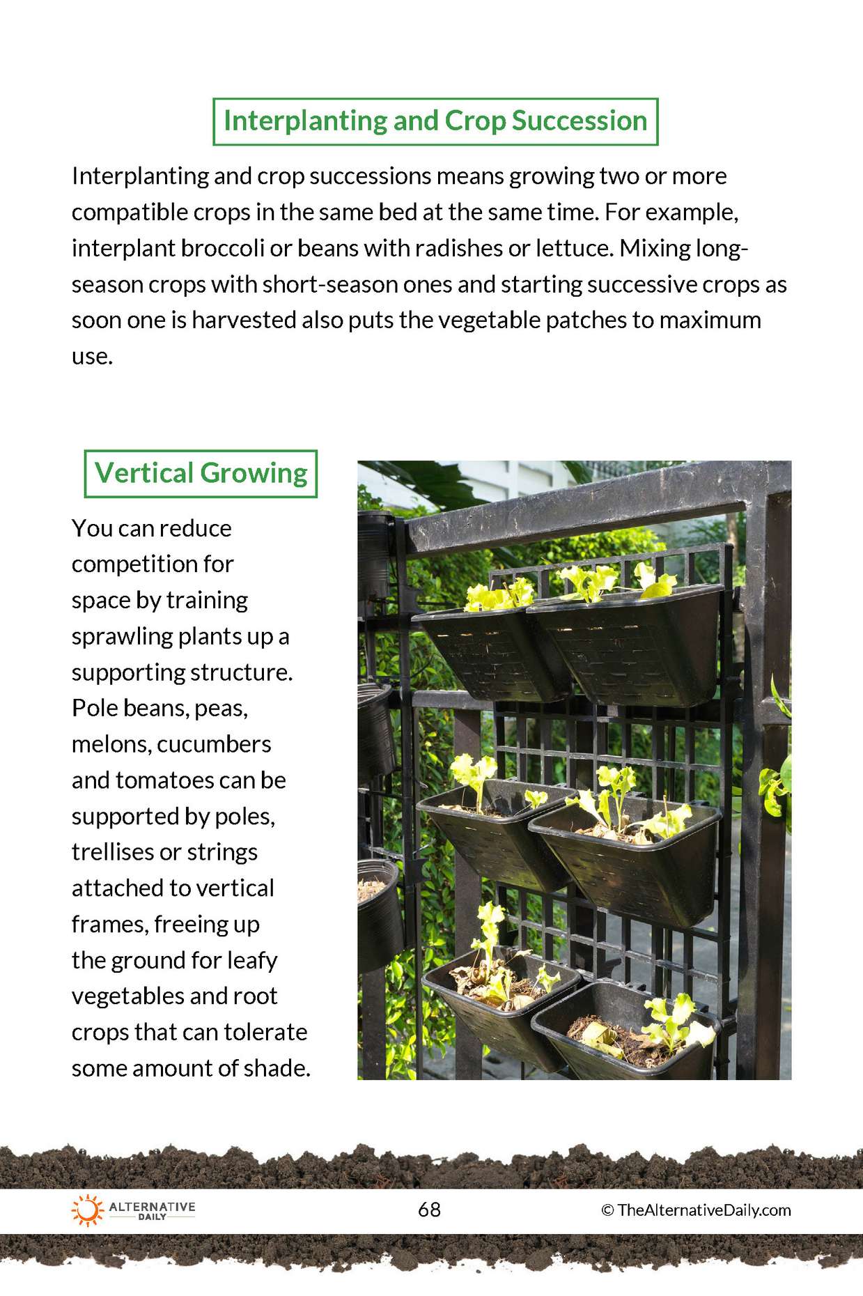 A taste of what's inside...