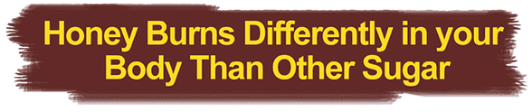 You've probably experienced just how rapidly most sugar burns in your ...