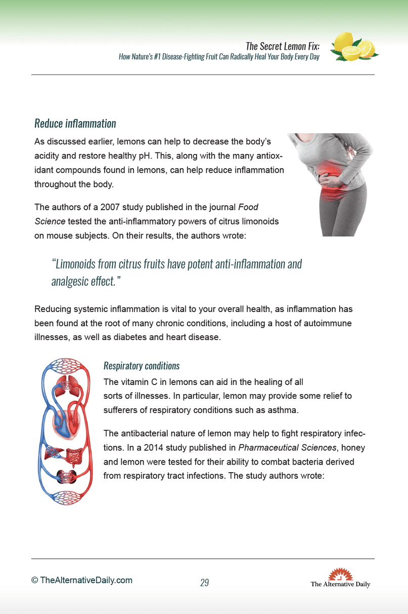 Lemons Contain the Most Important Antioxidant Found in Nature