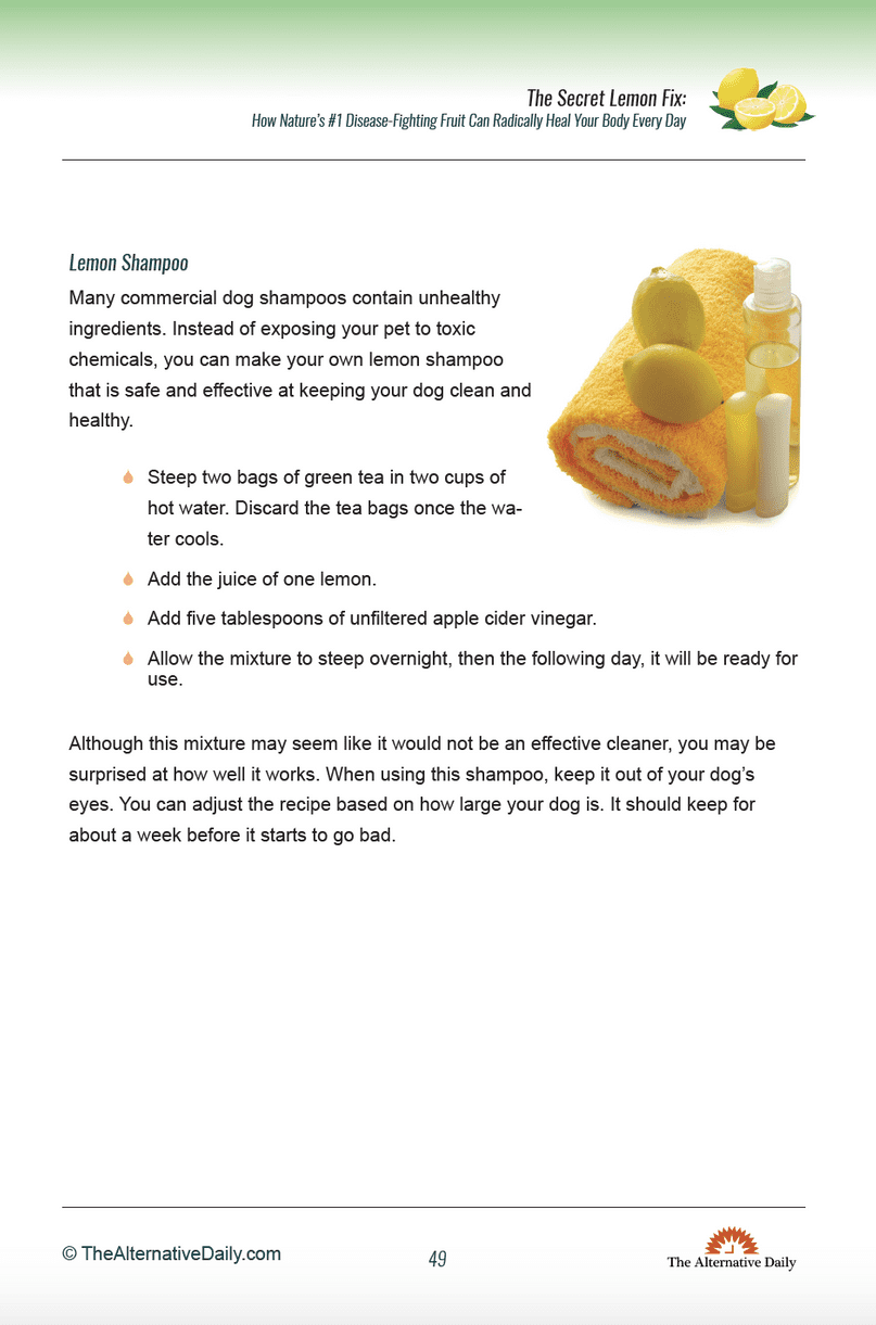 Lemons Contain the Most Important Antioxidant Found in Nature