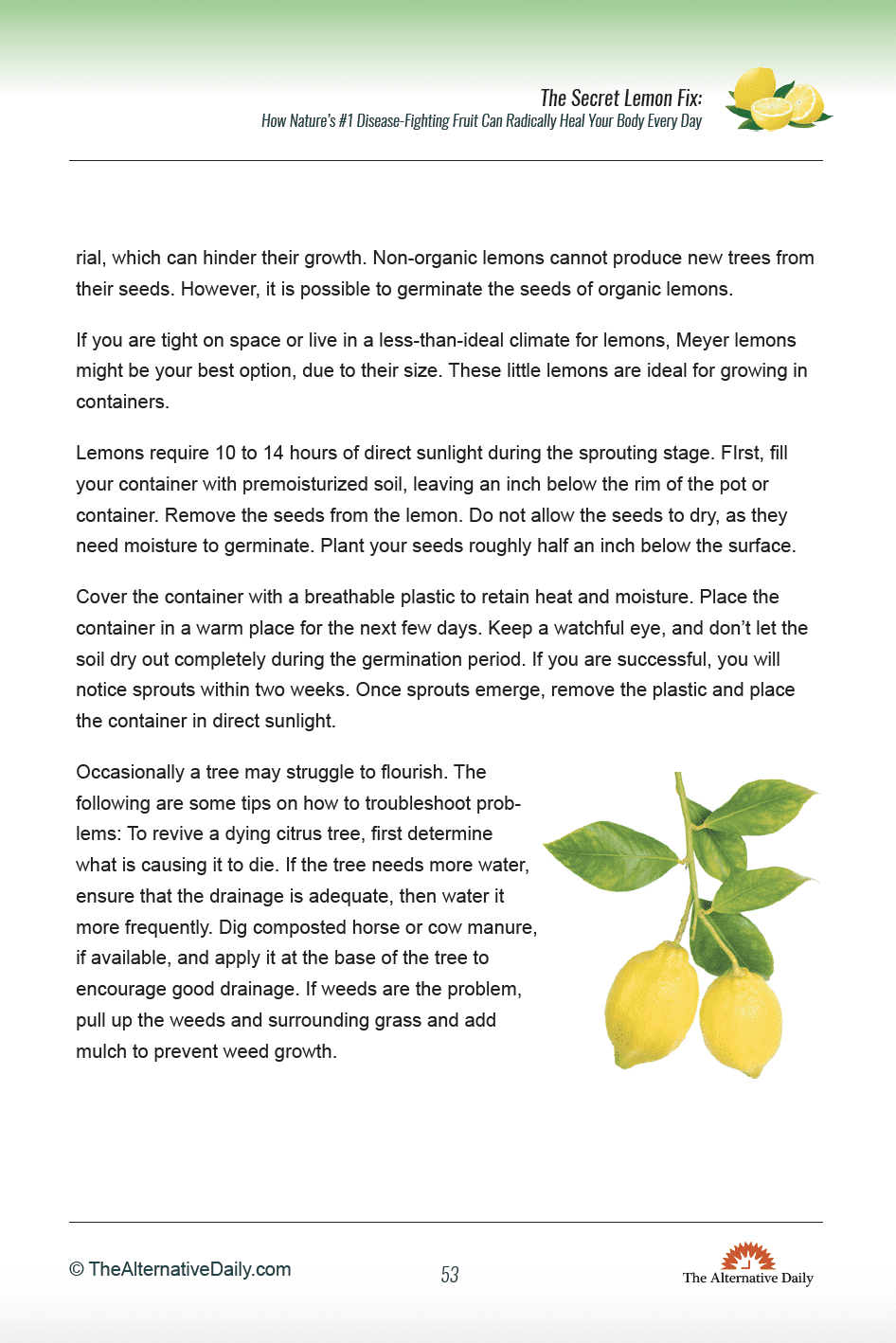 Lemons Contain the Most Important Antioxidant Found in Nature