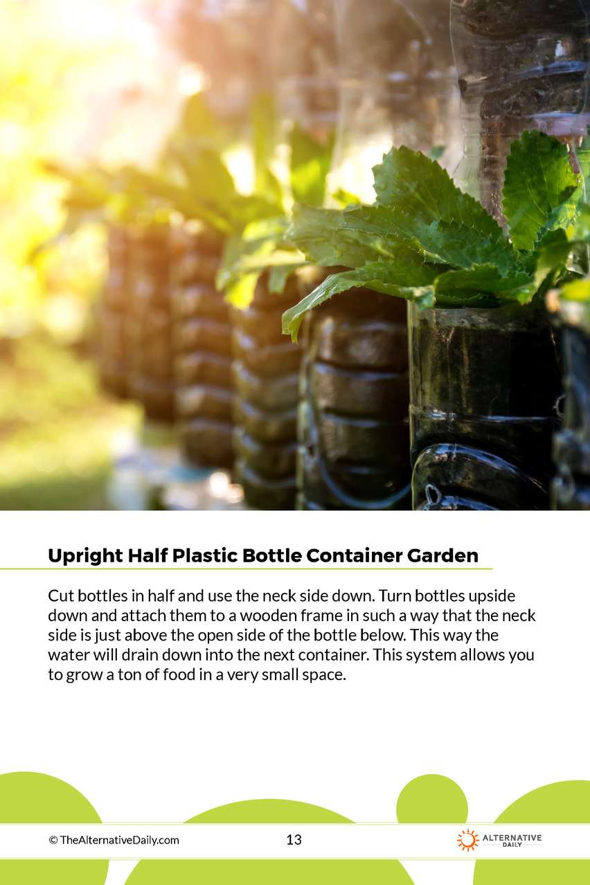 The Instant Box Garden Miracle
