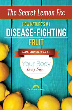 A taste of what's inside...