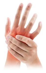 the cartilage between your joints restoring the cushion between your ...