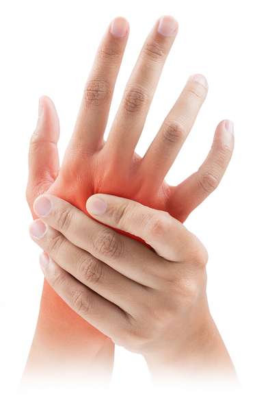 the cartilage between your joints restoring the cushion between your ...