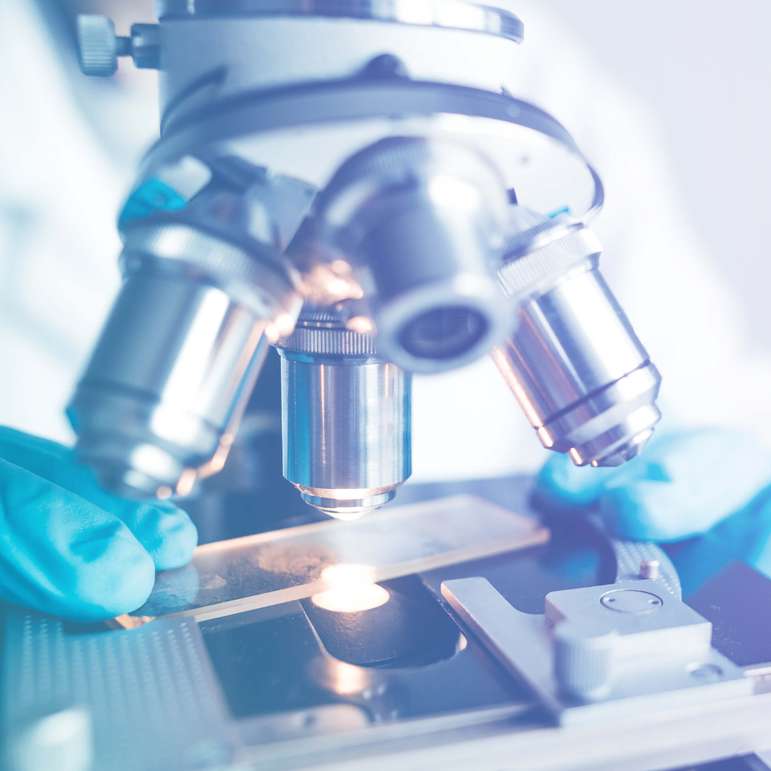 It’s a copy of my comprehensive guide to the medicinal uses of honey ...