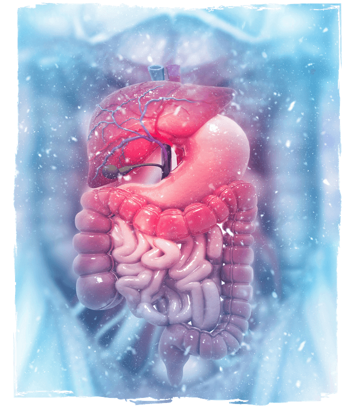 Doctor Joshua Levitt, ND