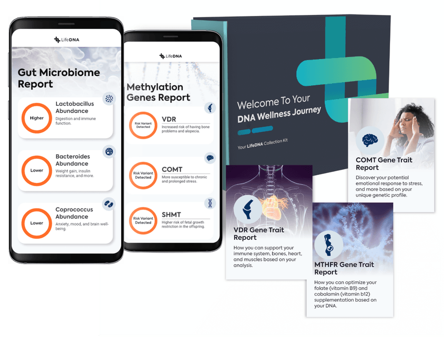 LifeDNA - Methylation Genes