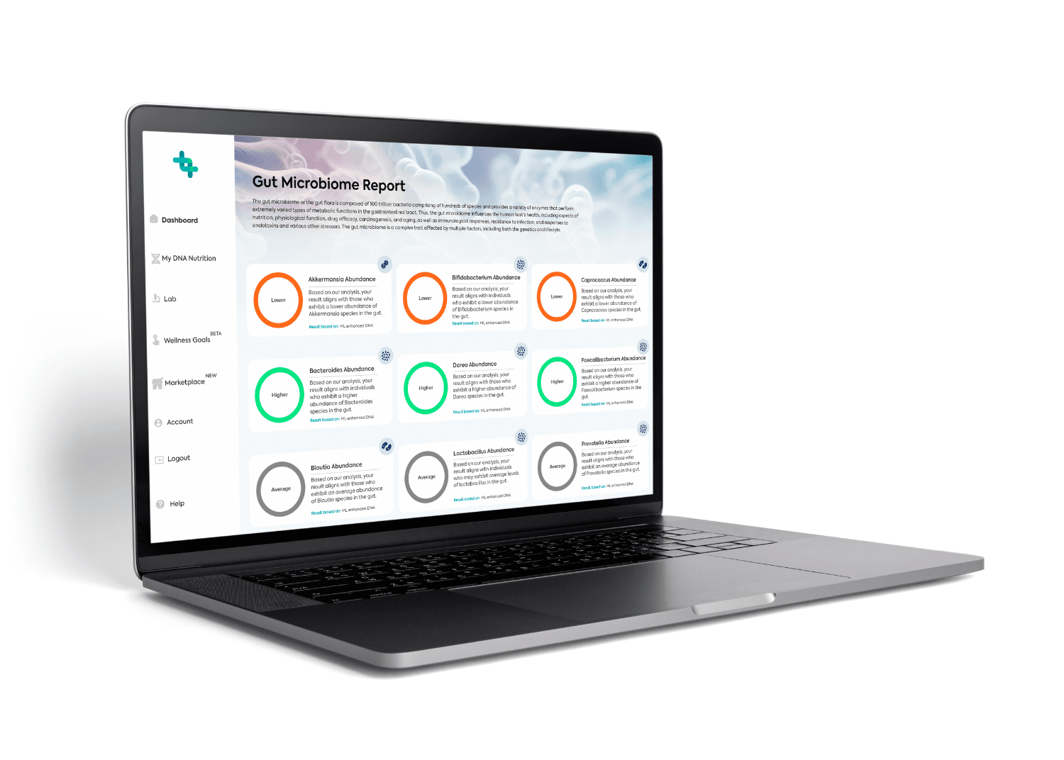 LifeDNA - Methylation Genes