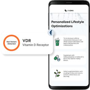 LifeDNA - Diamond: Blueprint For Methylation, Detox, Gut, Aging, and ...