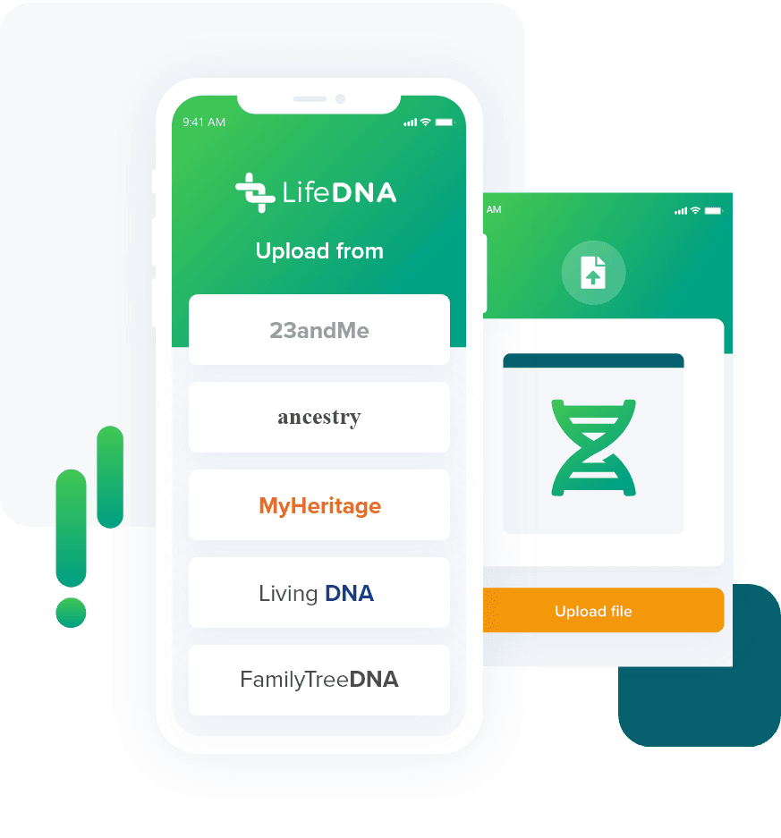 LifeDNA - Methylation Genes