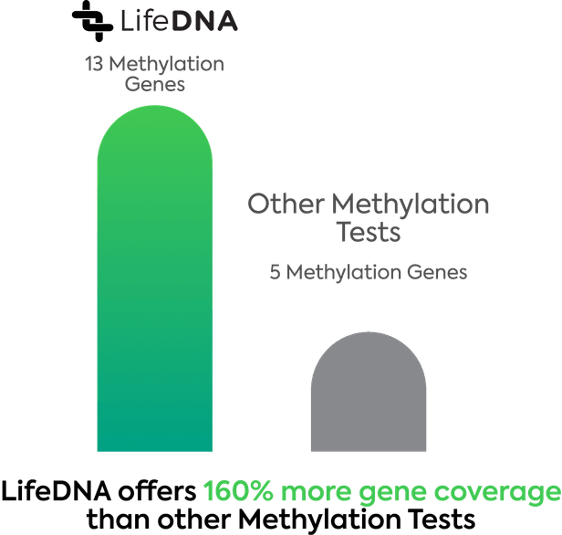 LifeDNA - Methylation Genes