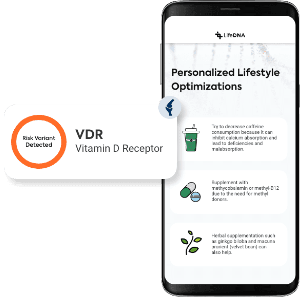LifeDNA - Methylation Genes