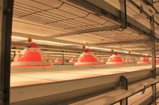 Didn't find what you want? Don't worry!