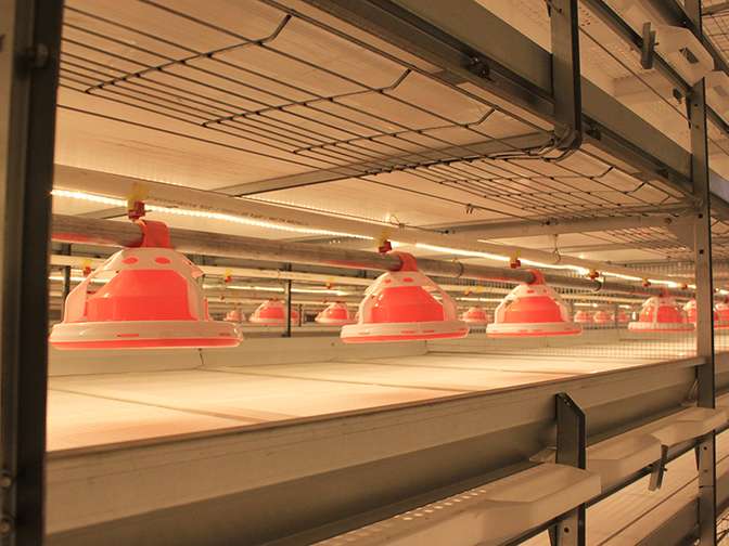 Didn't find what you want? Don't worry!