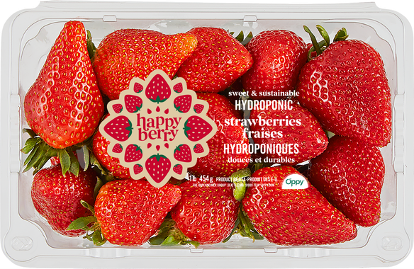 Ocean Spray® Happy Berry™