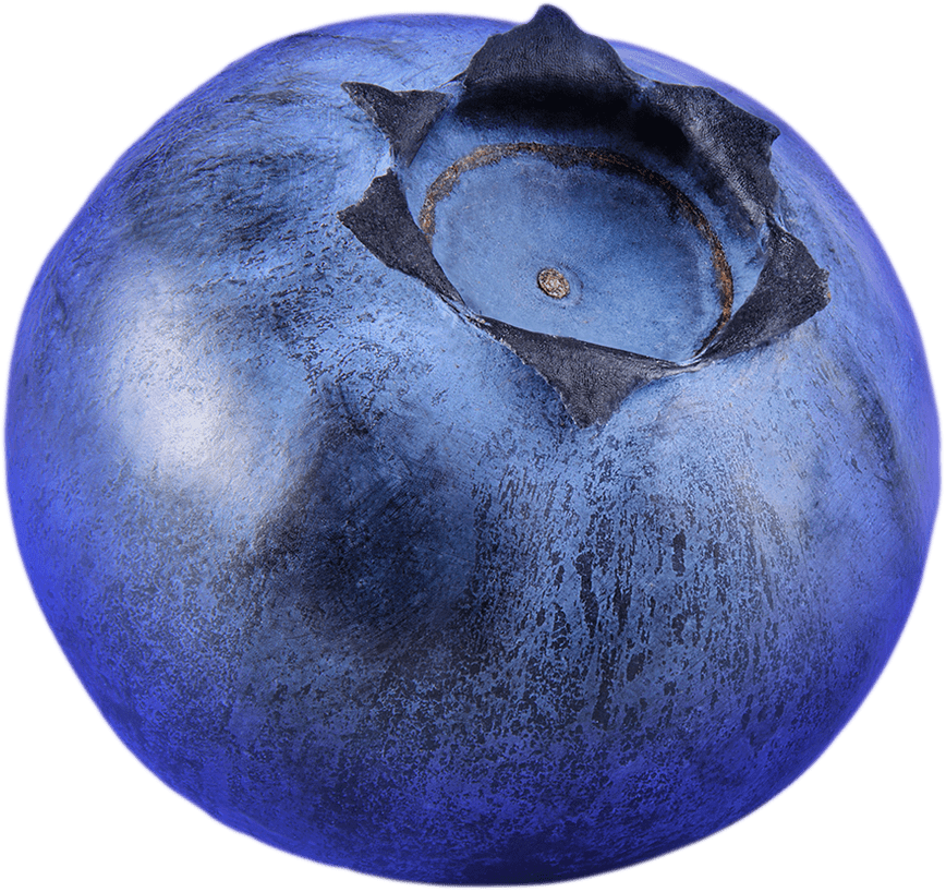 Hunkaberry Jumbo Blueberries