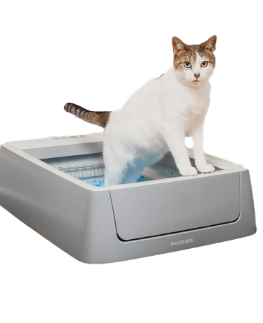 Use a self cleaning litter box to never scoop cat litter again.